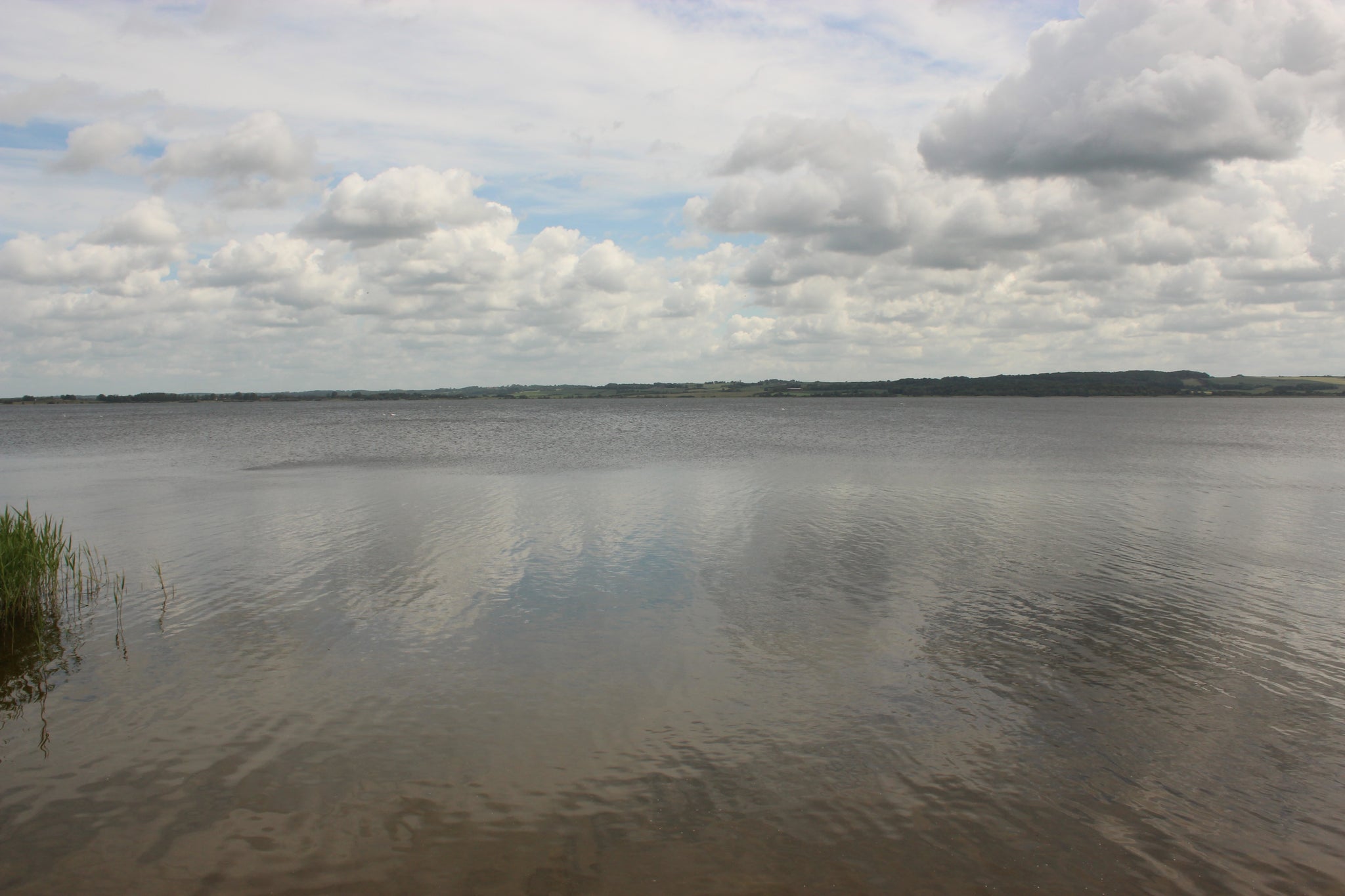 Tissø: Elite Power Center of Viking Age Denmark