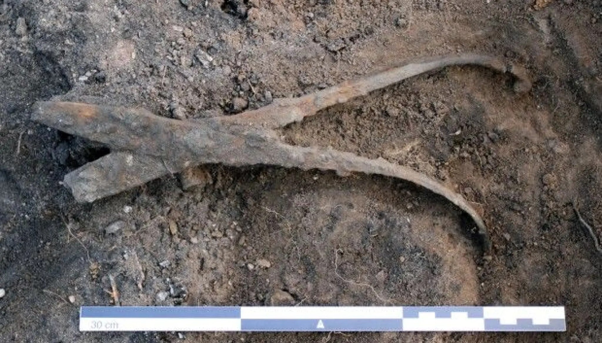 Hammer, Tongs, and History: A Viking Blacksmith's Tools Tell His Story